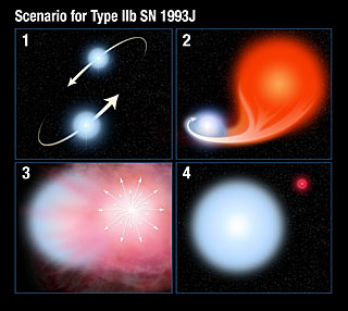 Scenario for Type IIb supernova 1993J | ESA/Hubble