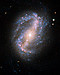 Barred spiral galaxy NGC 6217 | ESA/Hubble