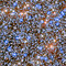 Omega Centauri (cropped) | ESA/Hubble