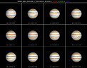 Jupiter OPAL observations (January 2024) | ESA/Hubble