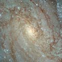 Details from ACS Image of NGC 3370: Center of Galaxy | ESA/Hubble